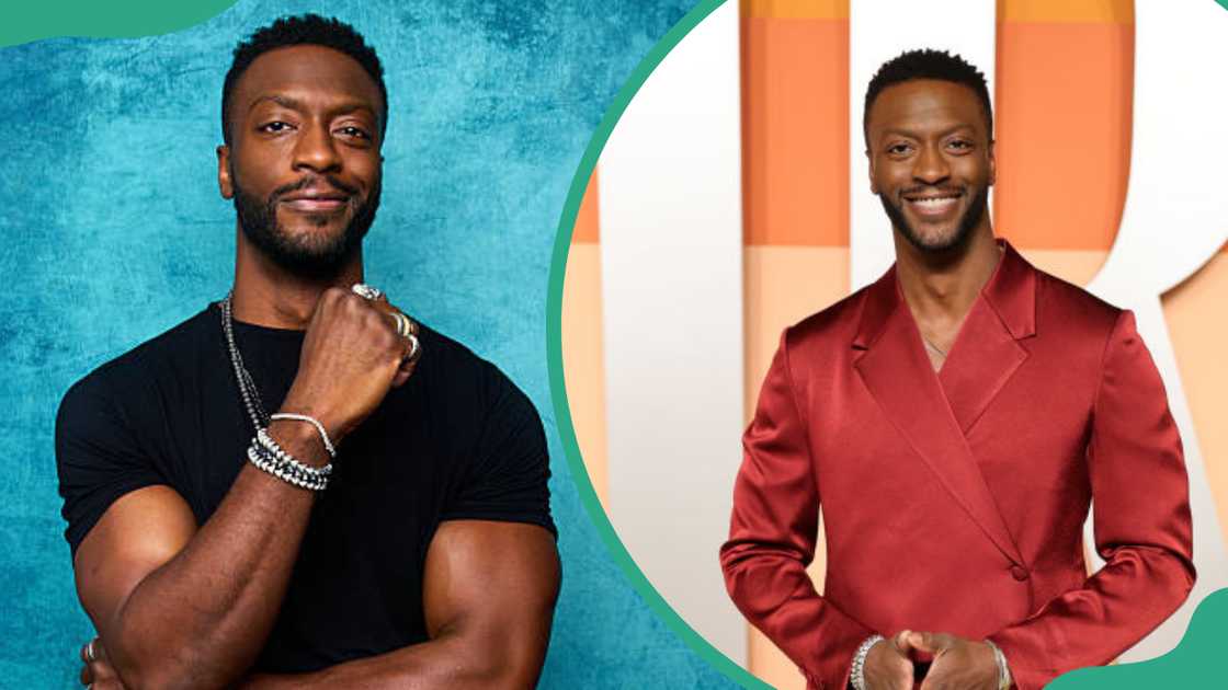 Meet Aldis Hodge's wife and the daughter who inspires him daily - Legit.ng