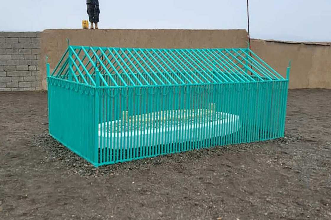 Taliban reveal burial place of founder Mullah Omar, nine years after ...