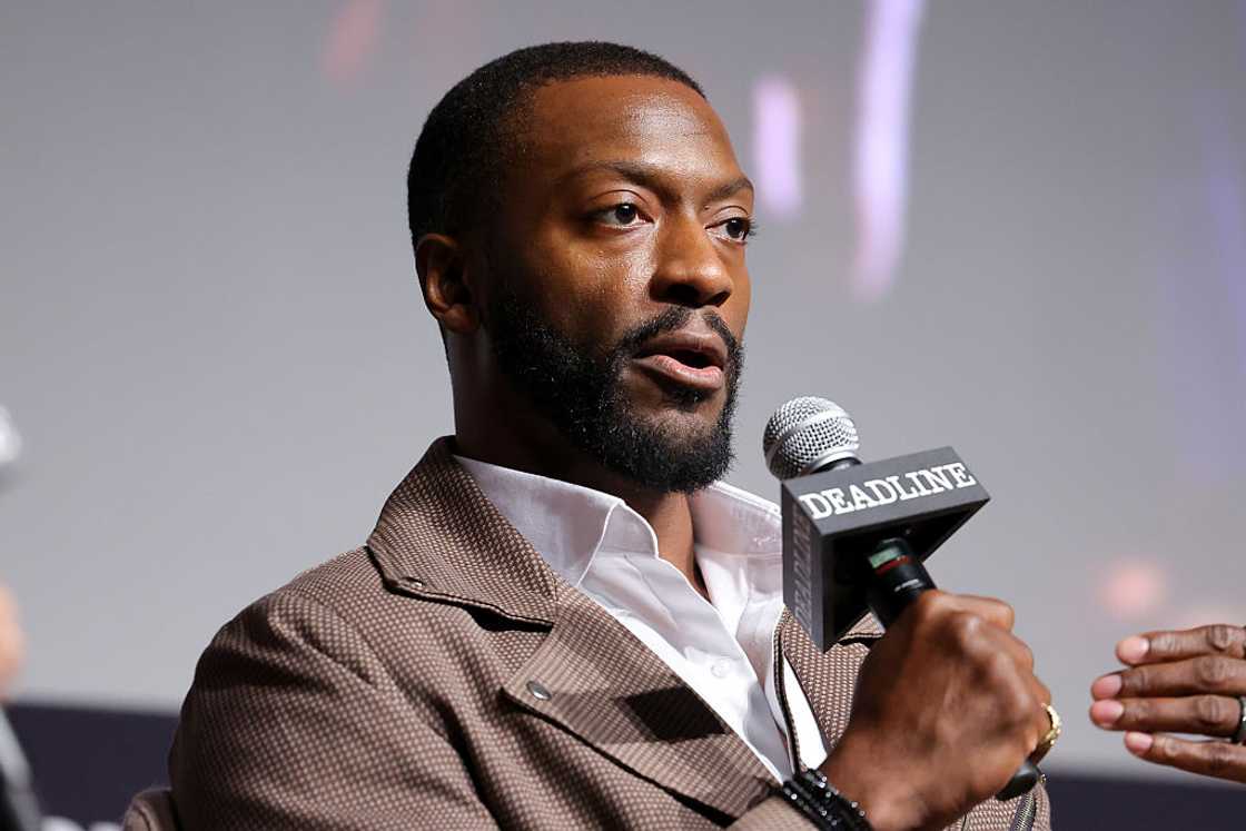 Meet Aldis Hodge's wife and the daughter who inspires him daily - Legit.ng