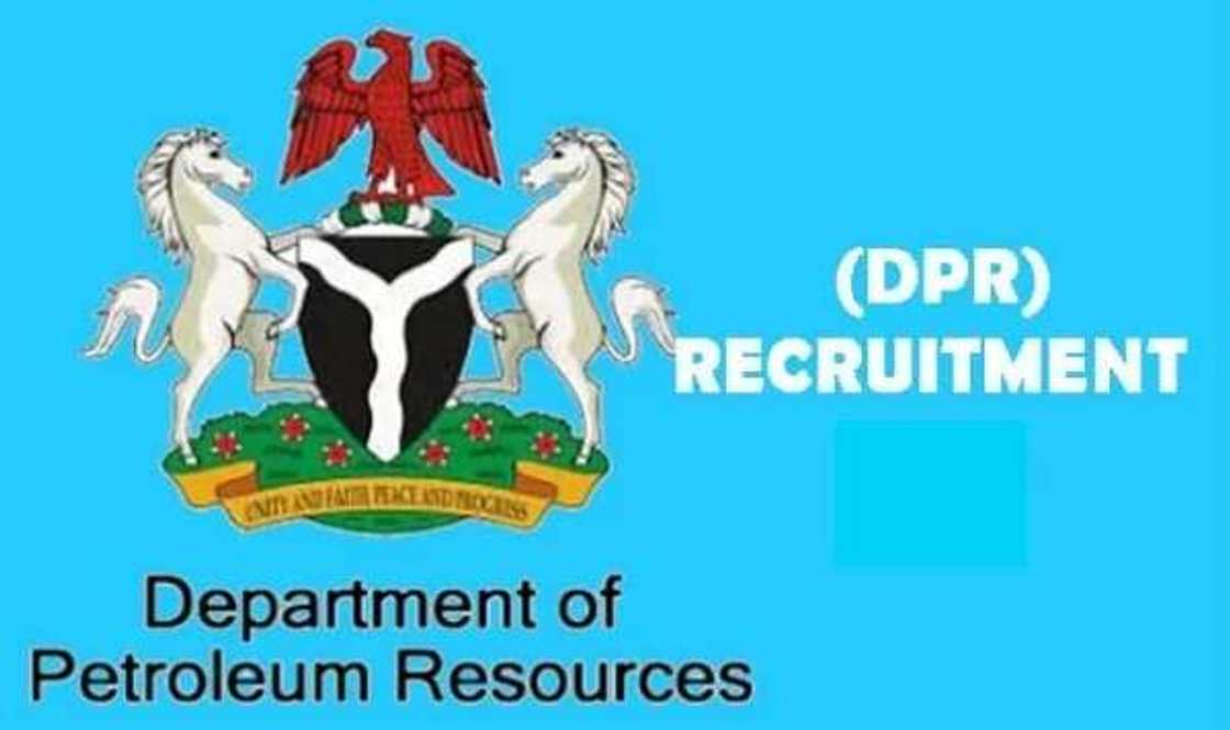 DPR recruitment 2017: Application guidelines - Legit.ng