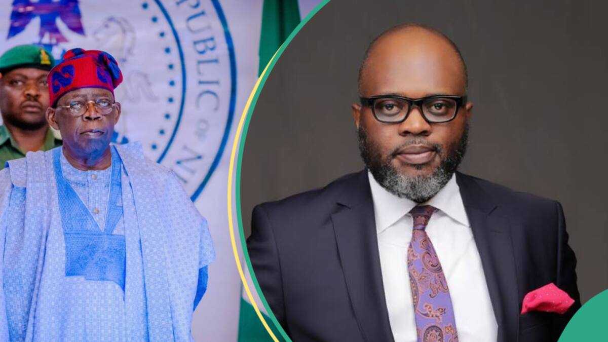 BREAKING: Tinubu Appoints New Special Adviser on Economic Affairs - Legit.ng