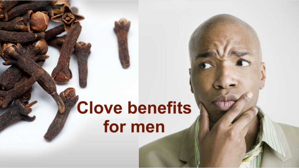 Top clove benefits for men: why should they consume it? - Legit.ng