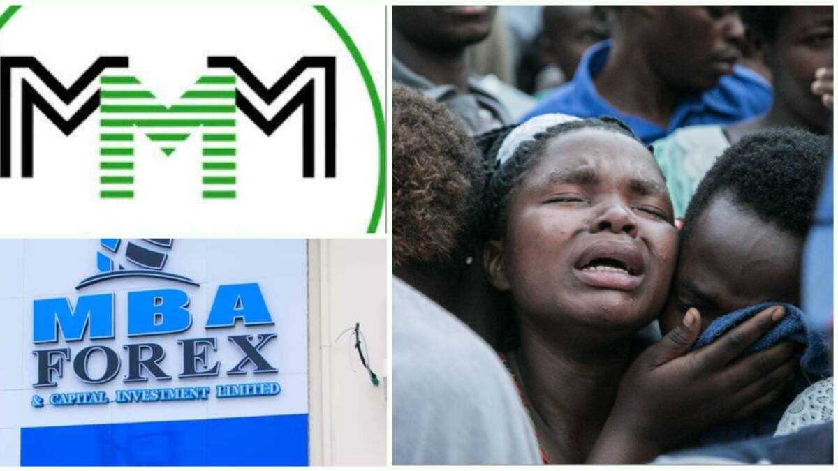 MMM, MBA Biggest Ponzi Scheme As Nigerians Lose Over N911b in 23 Years ...