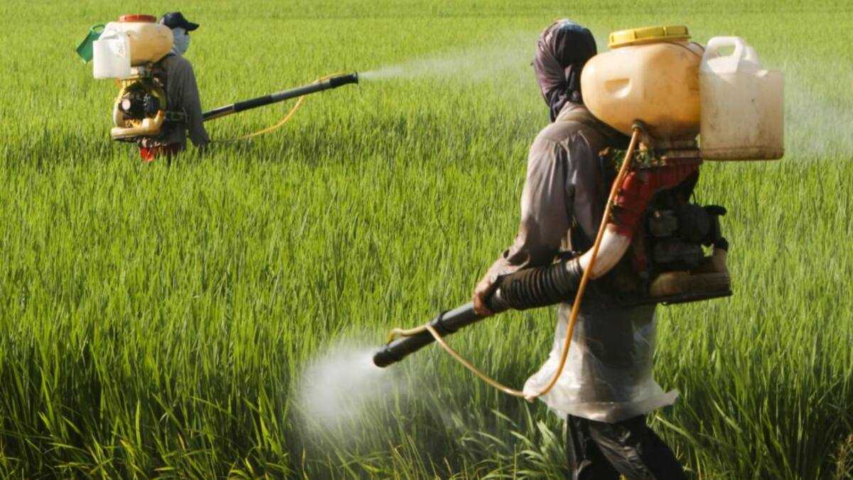 Climate Change: Agro Experts, NICCRA Signs Pact To Enhance Smart ...