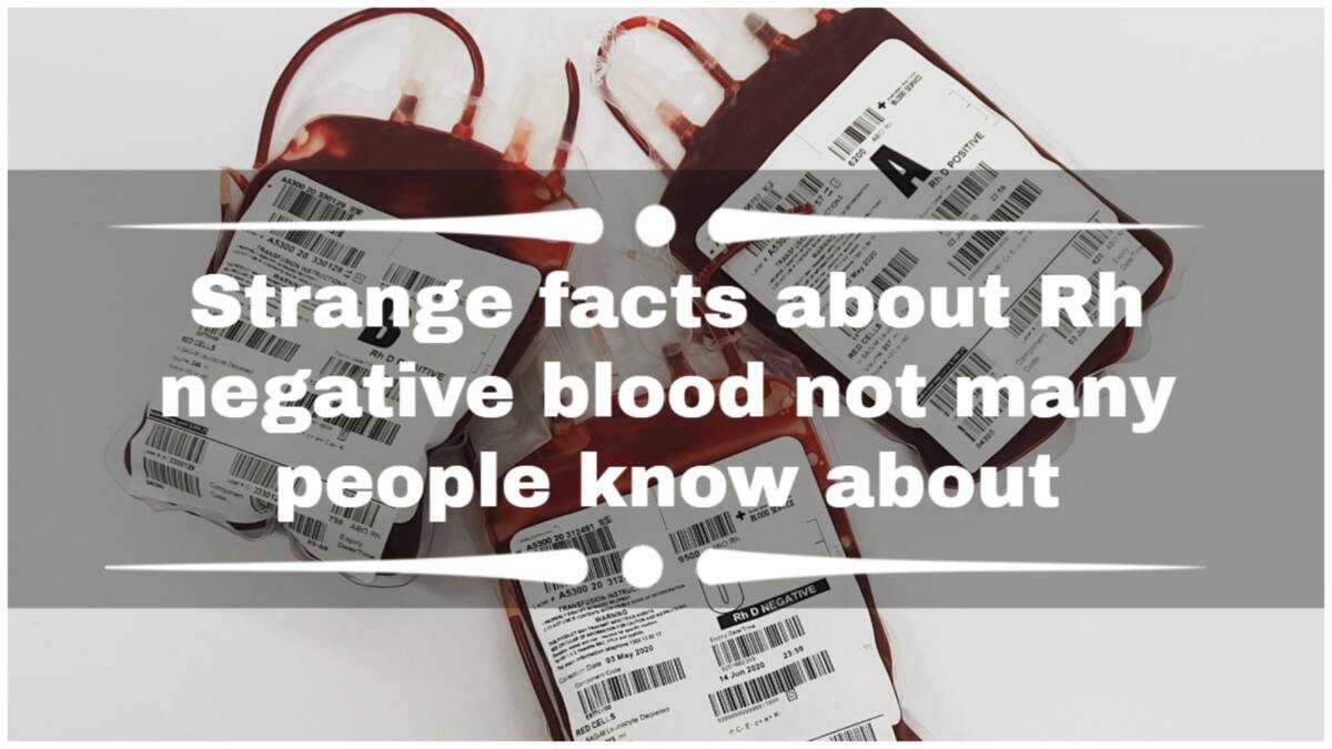 Strange facts about Rh negative blood not many people know about - Legit.ng