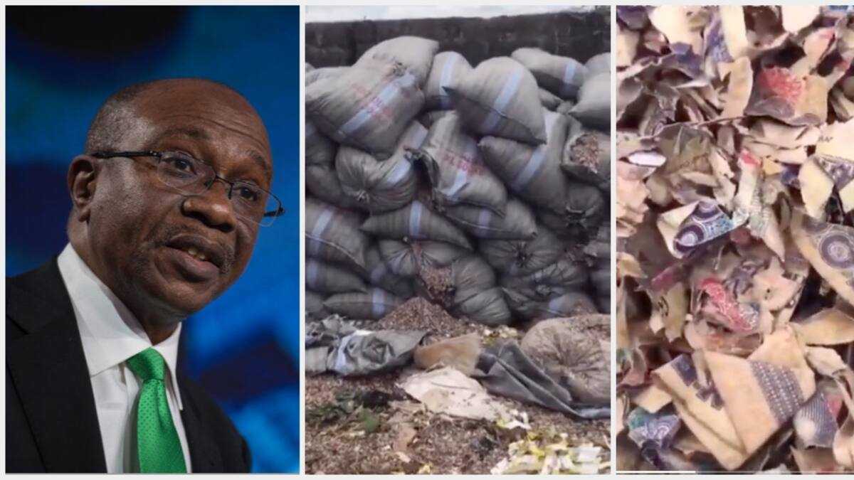"Money I dey find" Man in Video Shows Bags of Shredded Old Naira Notes ...