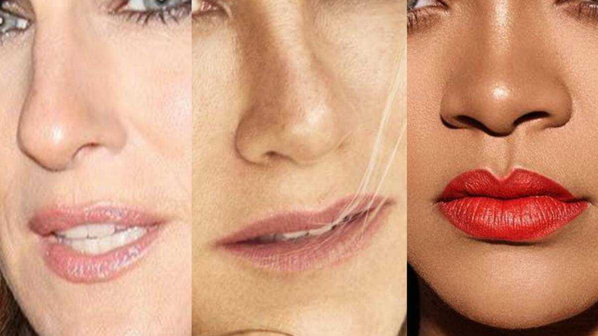 Top 12 common types of noses (with chart) - Legit.ng