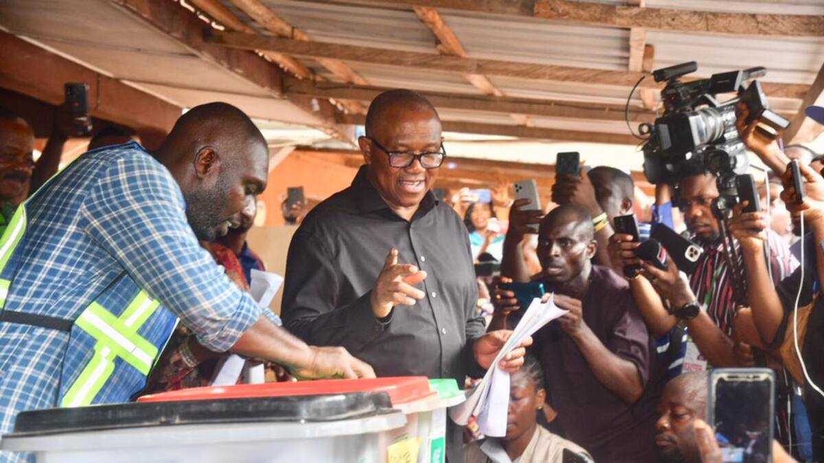 2023 Presidential Election Results: Full List of States Labour Party's ...