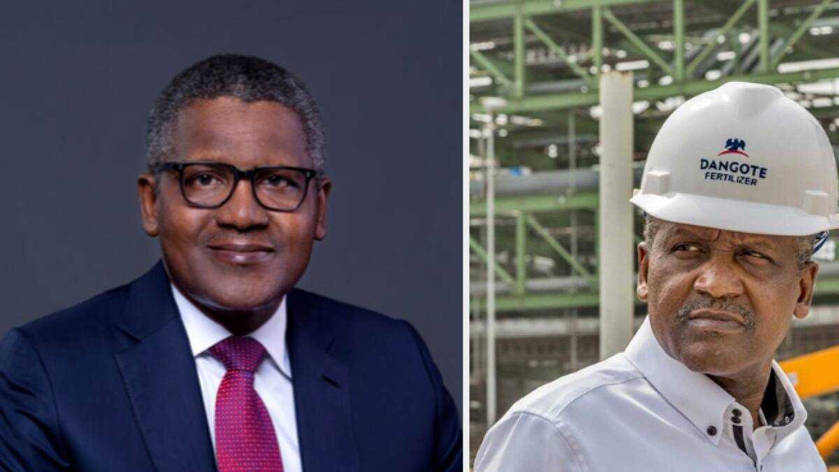 Dangote on Track to Close 2021 at the Richest Level He Has Ever Been In ...