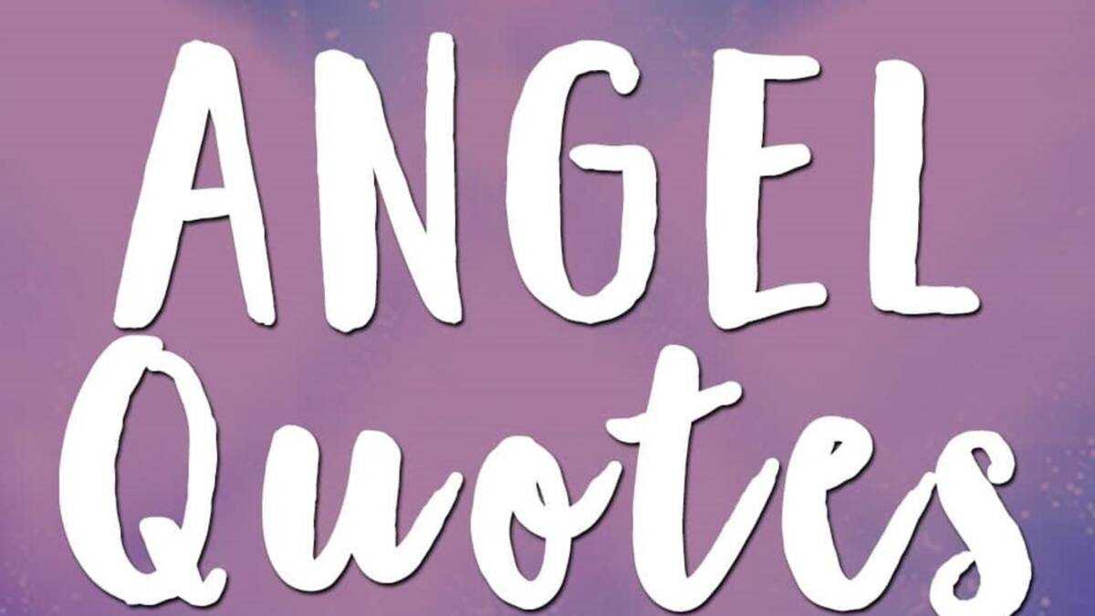 Beautiful angel quotes and sayings to calm and inspire you - Legit.ng