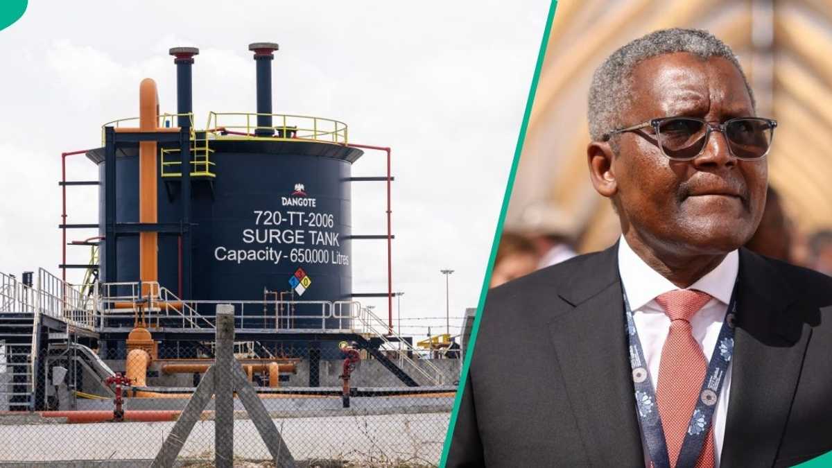 Dangote Announces Plan to Make Nigerians Part Owners of Refinery - Legit.ng