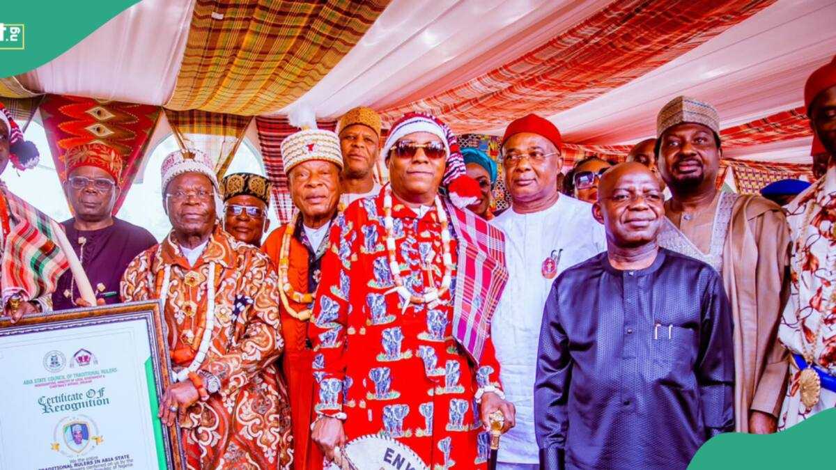 “Criminals Terrorising Southeast Don’t Represent Ndi-Igbo, Nigeria’s ...