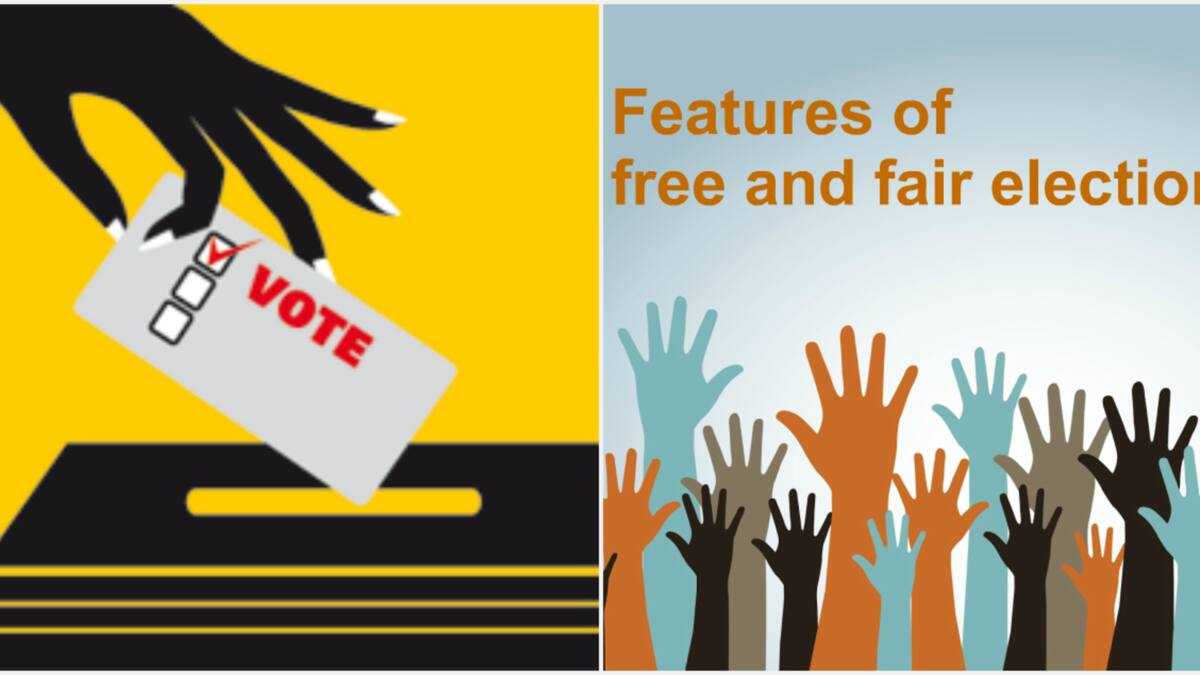 Features of free and fair election - Legit.ng