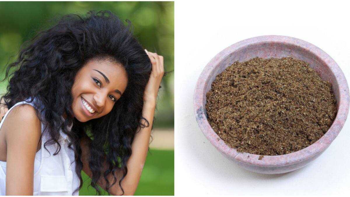 How to use chebe powder for hair growth: Complete guide - Legit.ng