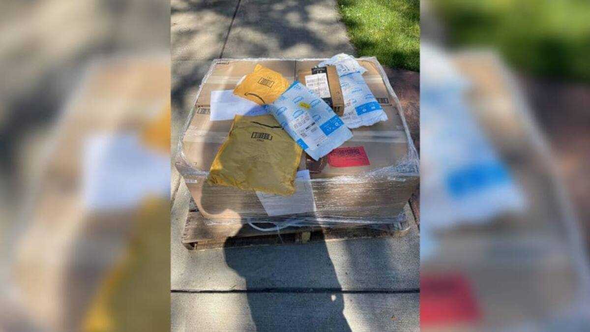 Woman Surprised after Receiving Hundreds of Amazon Packages She Didn't ...