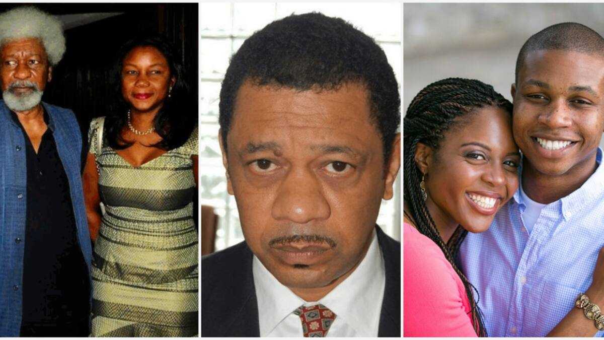 Wole Soyinka’s children and wives - Legit.ng