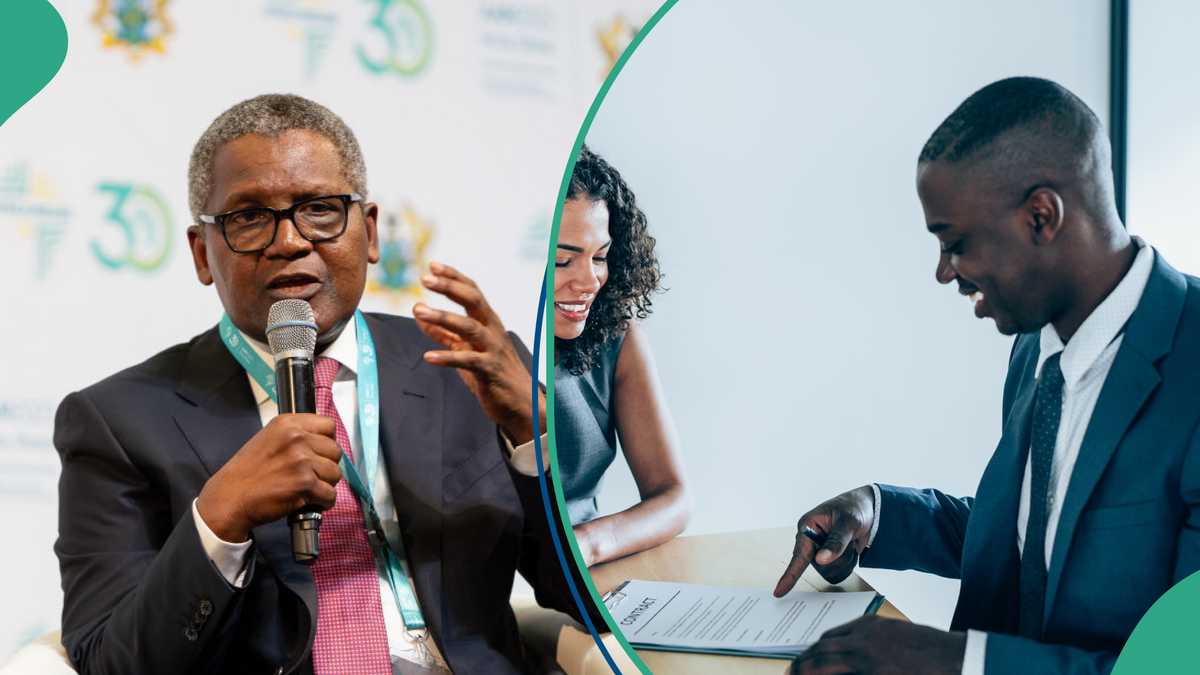 Dangote Cement Offers Students Industrial Internship Opportunity - Legit.ng