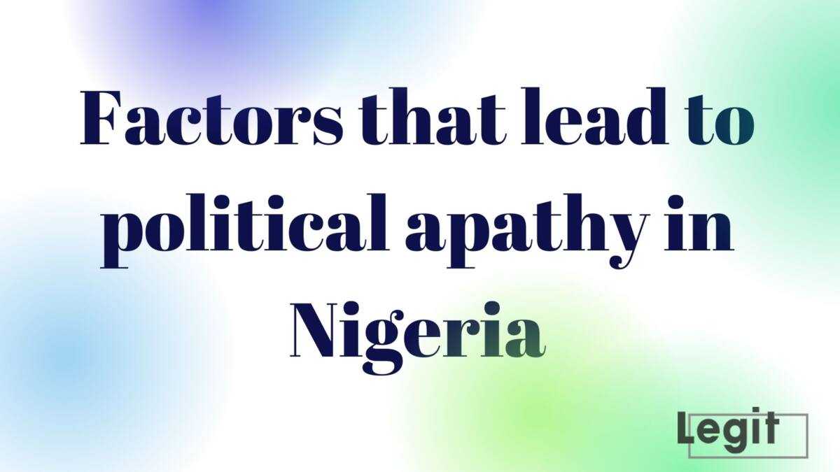 What are the factors that lead to political apathy in Nigeria? - Legit.ng