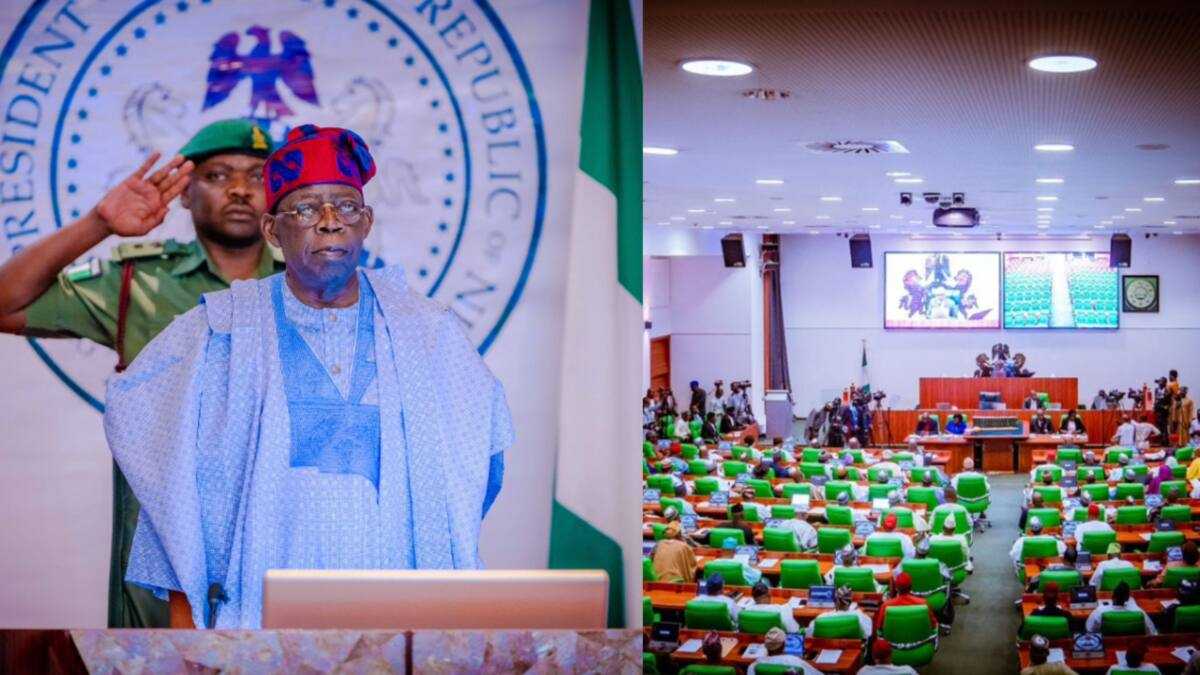 House of Reps: Tinubu’s N500bn Request for Palliatives Approved - Legit.ng
