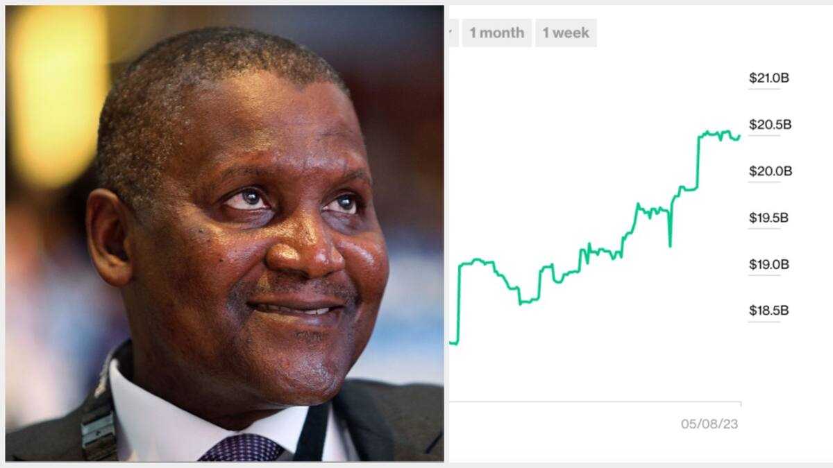 Dangote’s Wealth Rises by Over N18bn in 24 Hours as He’s Now Richer Than 419 Billionaires in the ...