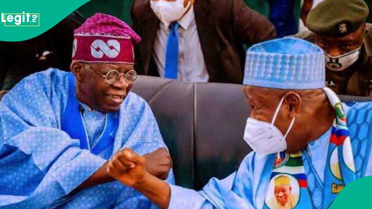 Rigima Ta Ɓarke tsakanin Shugaba Tinubu da Ganduje ana Shirin 2027? An Samu Bayani - Legit.ng