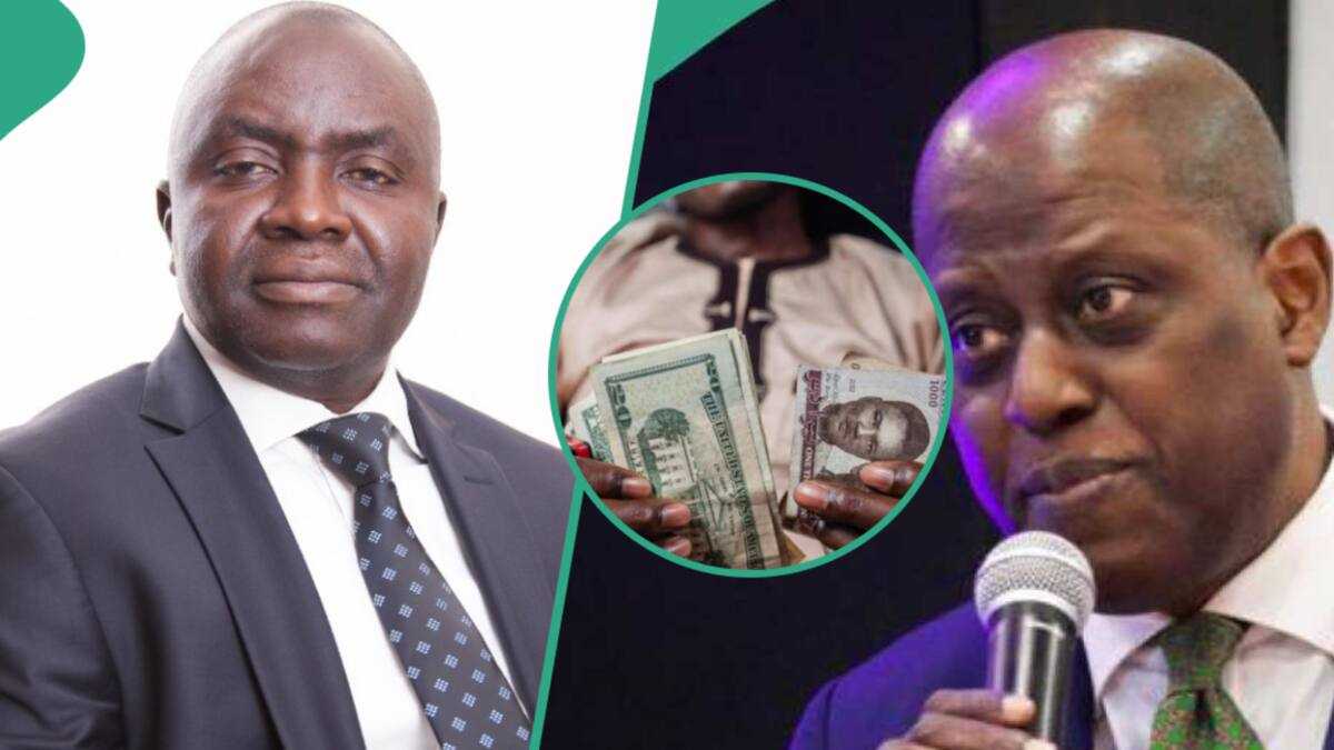 “We Need To Worry”: Experts React to CBN’s Decision To Lift Forex Ban on 43 Items After 8 Years ...