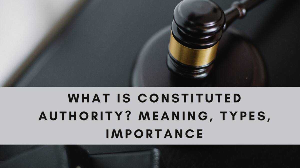 What is constituted authority? Meaning, types, importance - Legit.ng
