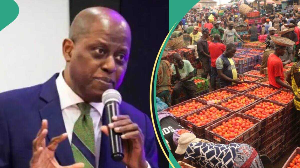 It Is Working: CBN Speaks on Strategy To Tackle Soaring 18-Year High ...