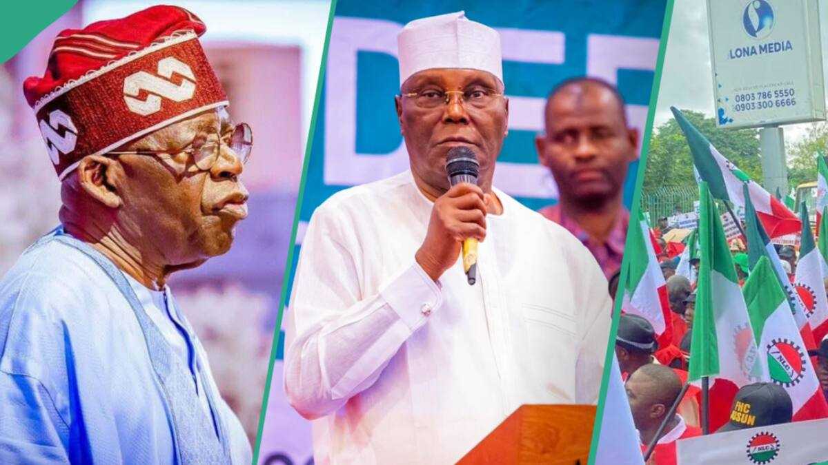 Atiku's Conference on Tinubu's CSU Certificate and 3 Other Things That ...