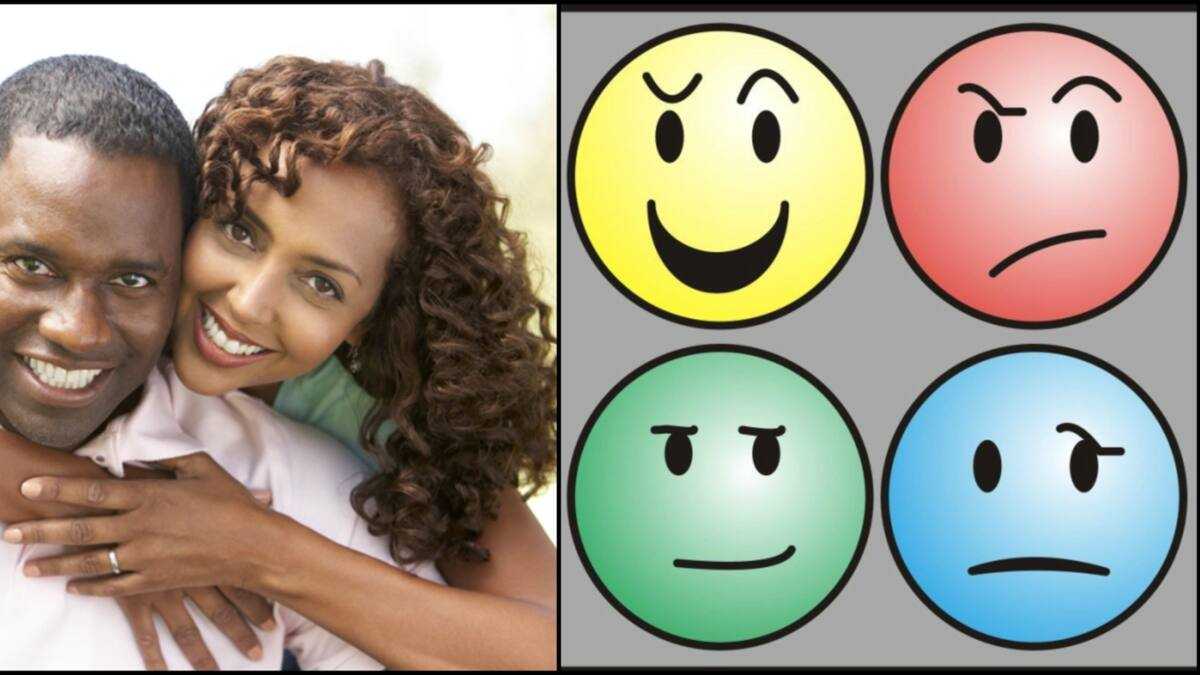 Temperament Compatibility | Personality Cafe