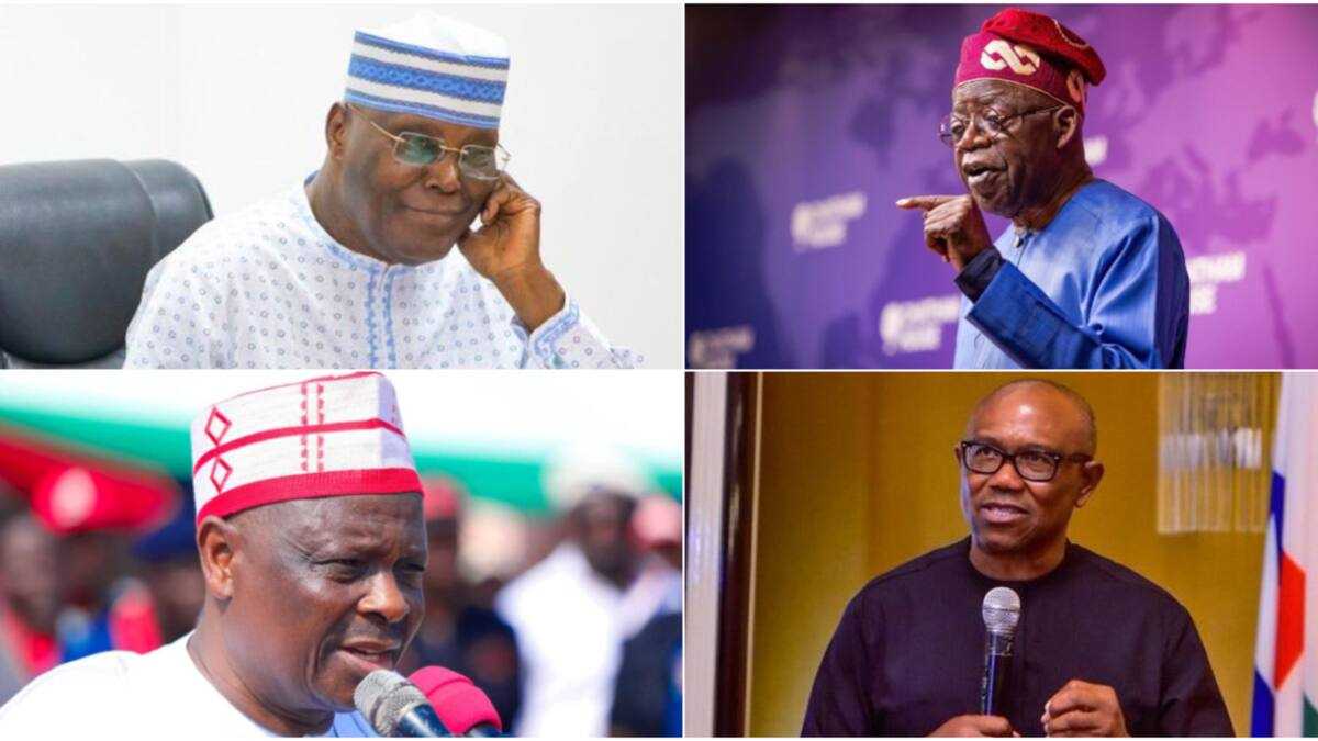 Tinubu, Obi: Why Nigerian Politicians Rush to Chatham House, Top ... Tinubu, Obi: Why Nigerian Politicians Rush to Chatham House, Top ...