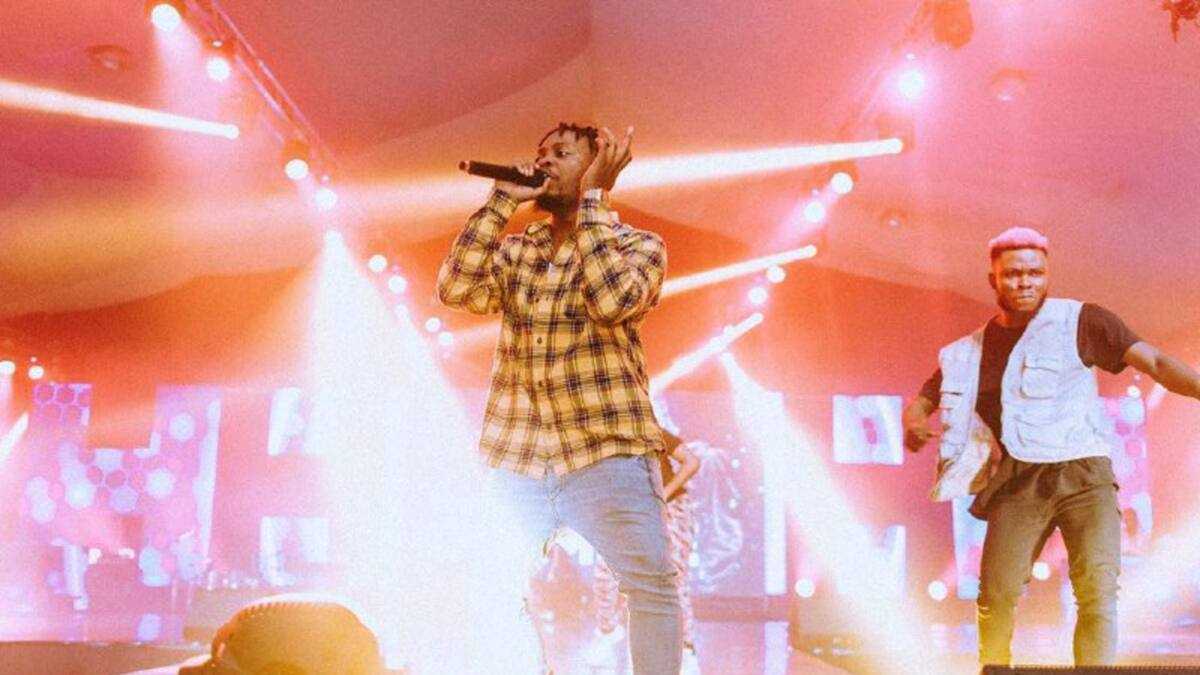 Latest Olamide songs 2018-2019 - Legit.ng