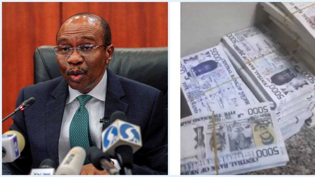 CBN Finally Speaks on Plans to Print 5,000 Naira Notes After a Video ...