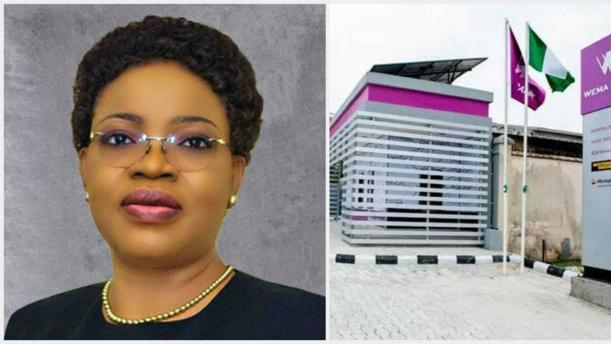 Meet Oluwayemisi Olorunshola, Wema Bank's New Chairman Who Conquered 2 ...
