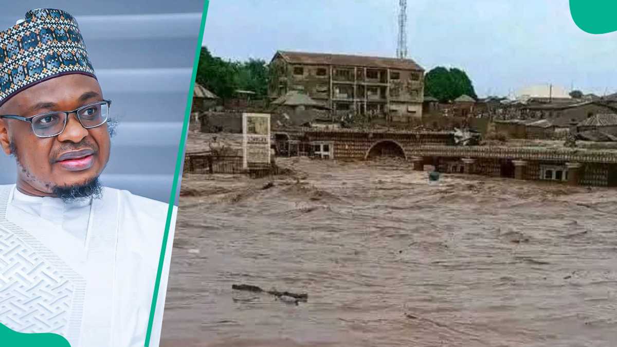 Ambaliya: Sheikh Pantami Ya Yi Magana kan Mutuwar Mutane Sama da 100 a ...