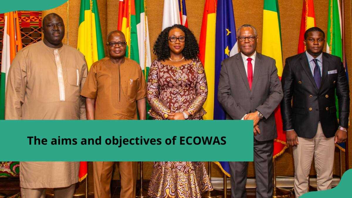 What are the aims and objectives of ECOWAS? Learn them today - Legit.ng
