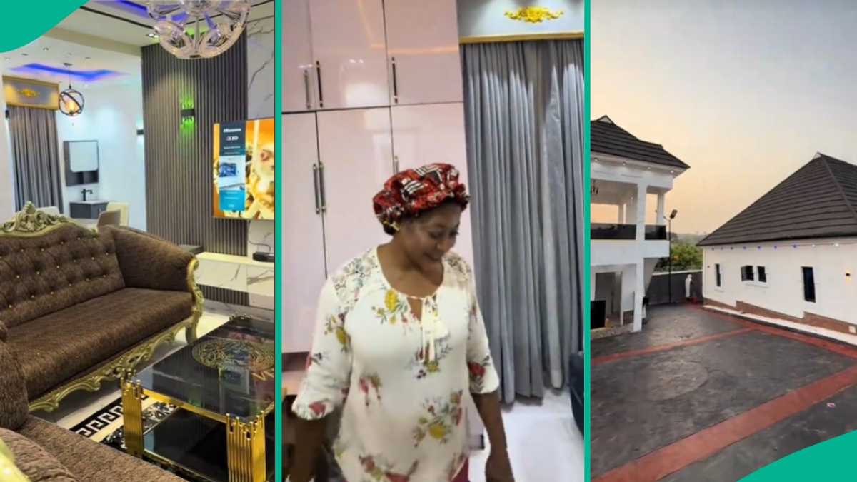 Young Millionaire Builds Automated House, Opens Gate with Remote ...