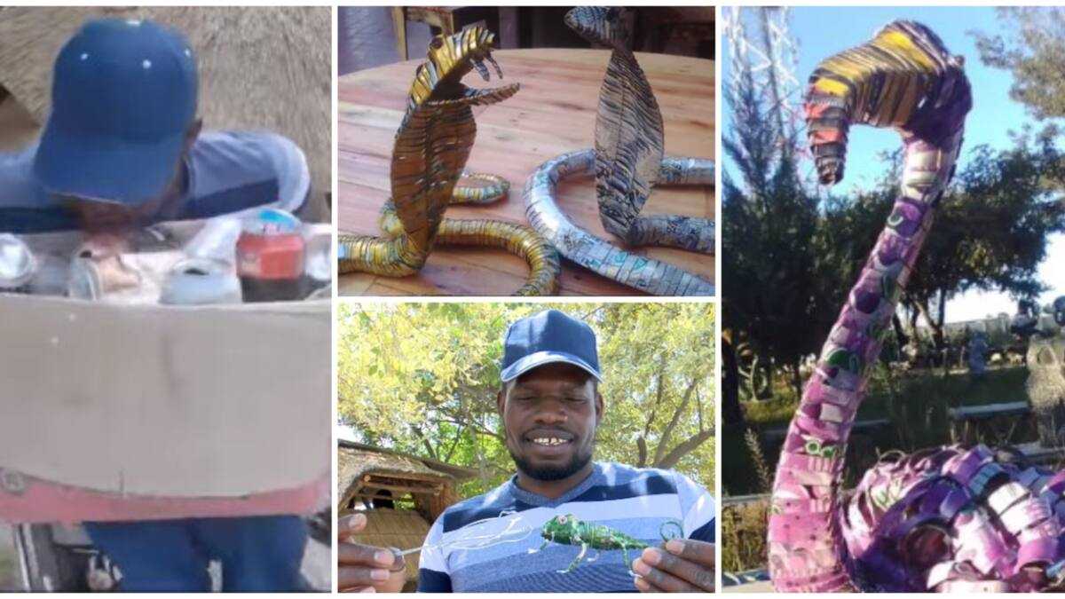 Talented Disabled Man Makes Ostrich, Snakes and Frog Artworks from Beer ...