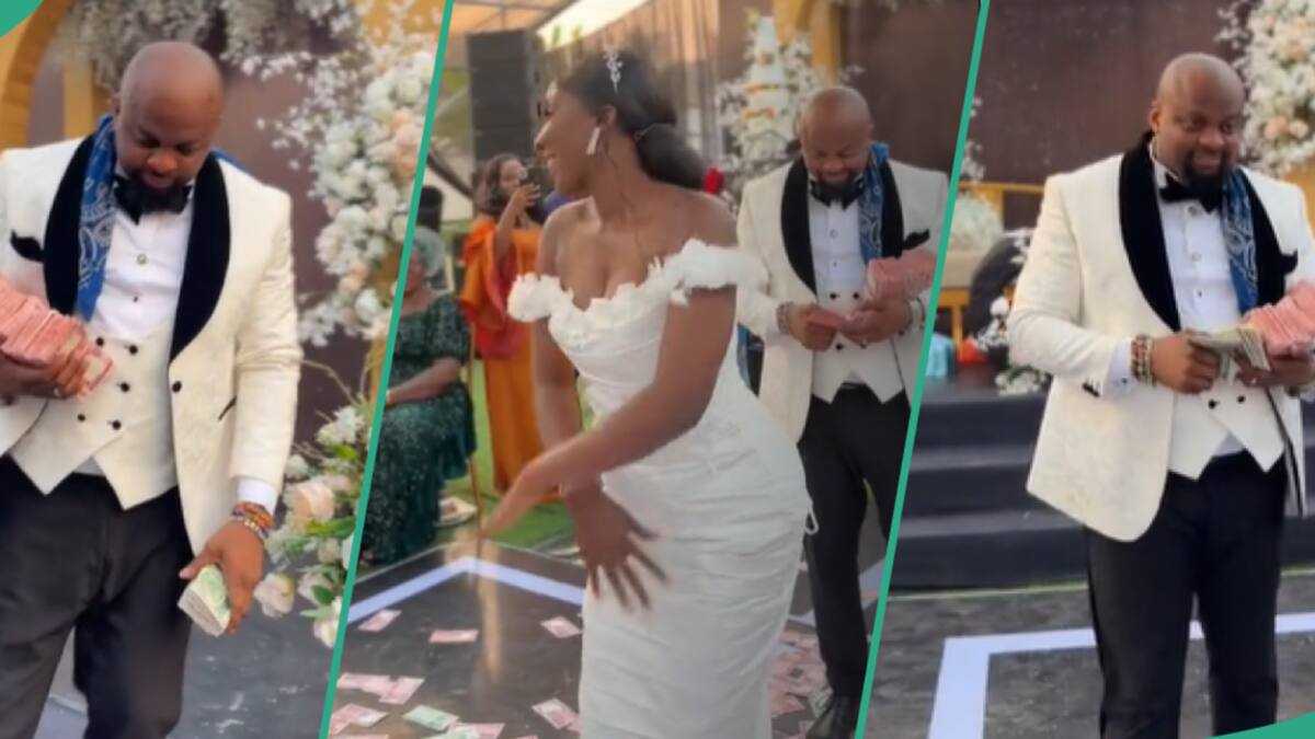 "Marrying an Odogwu is a Dream": Groom Sets the Bar High, Takes Bundles ...