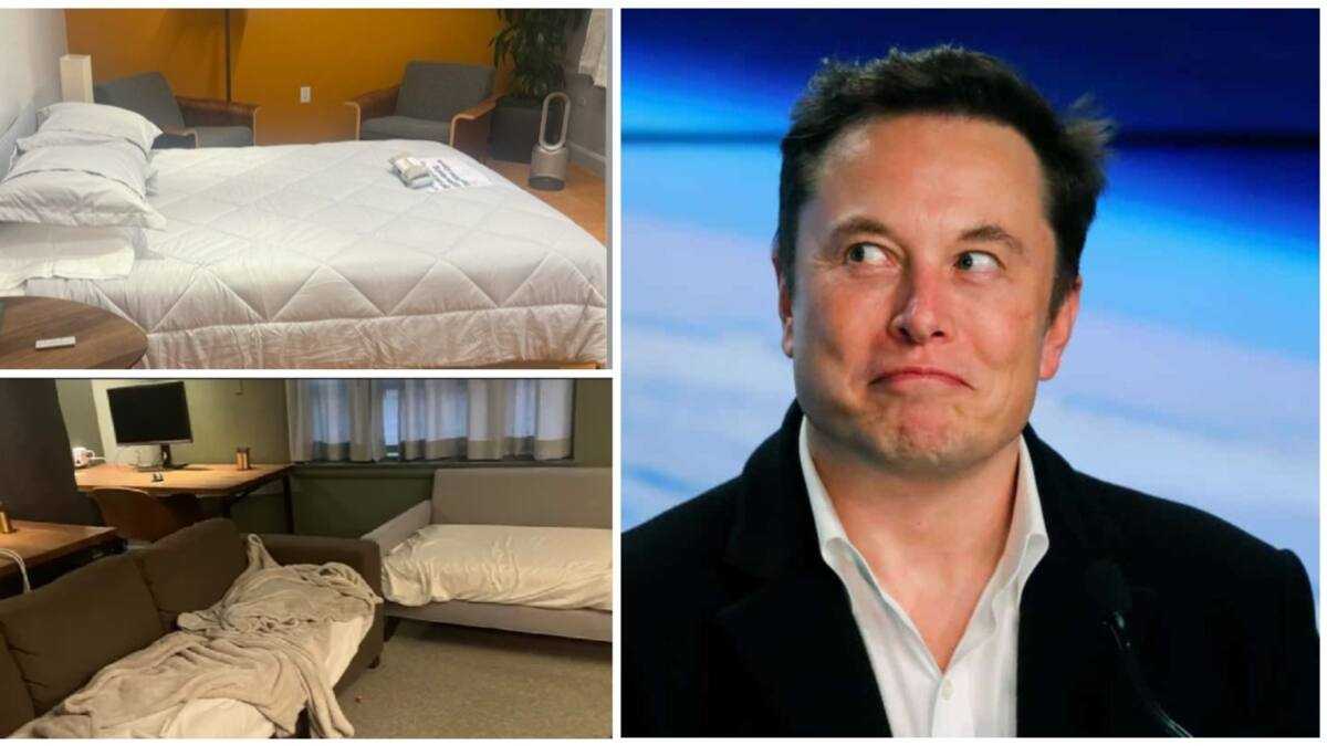 Elon Musk Turns Twitter Office Into ‘Hotel’ for Staff, Pictures of Bed ...