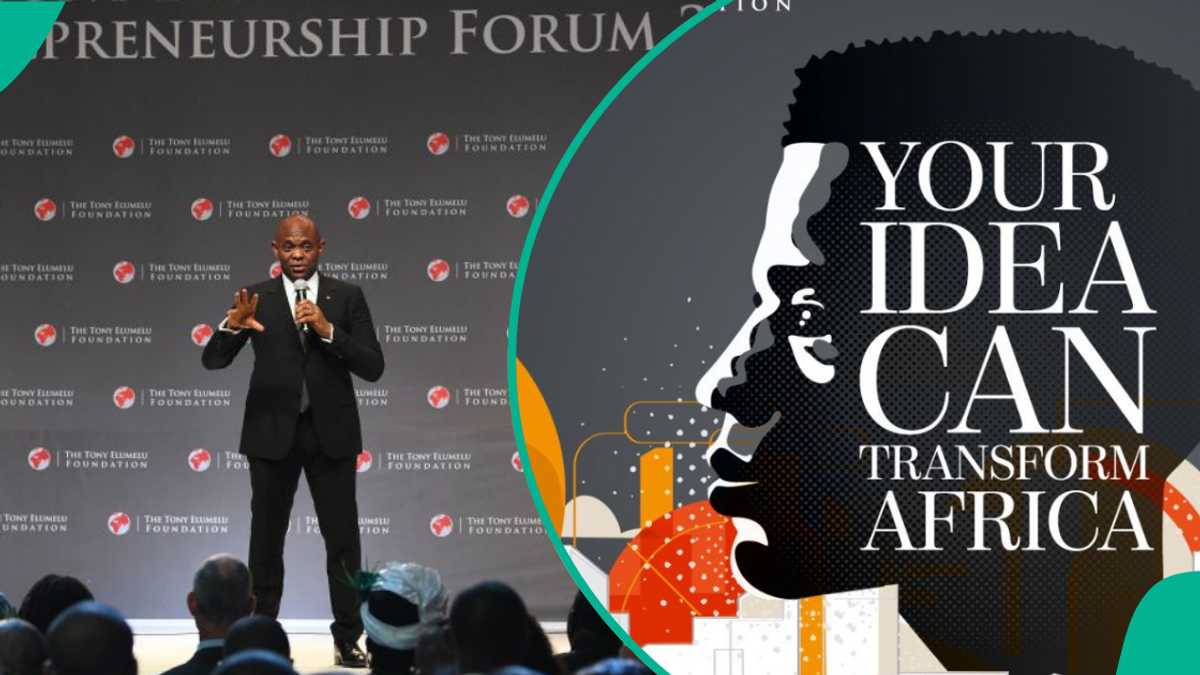 Apply Now: Tony Elumelu Foundation Opens Application for 2025 ...