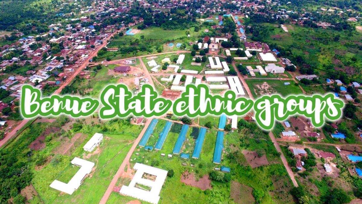 Top ethnic groups in Benue State - Legit.ng