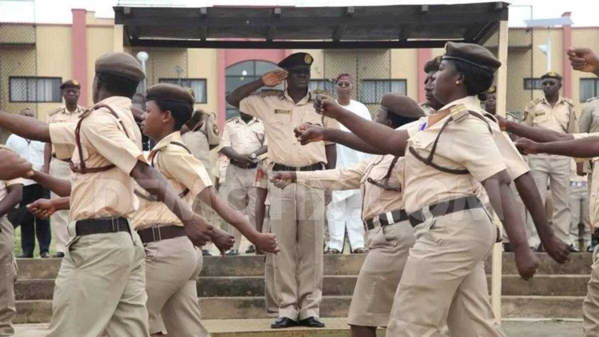 Nigeria Immigration Service ranks and structure (departments) - Legit.ng