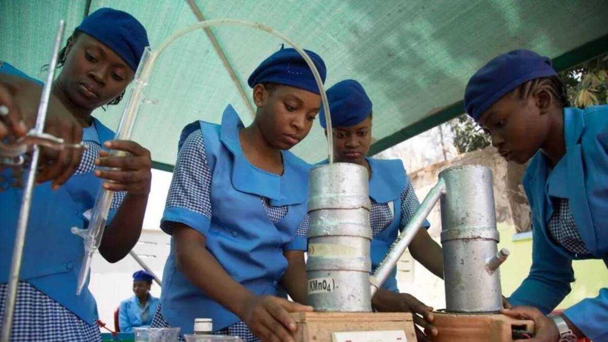 JETS Club projects in Nigeria: reasons why they are important - Legit.ng