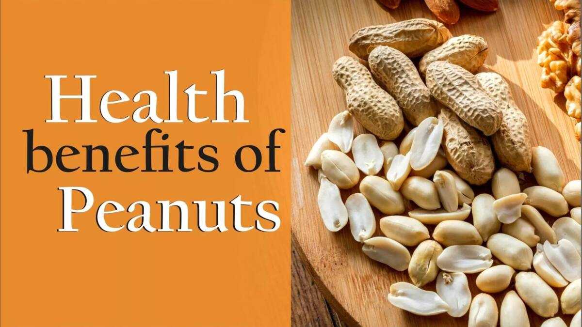 Groundnut benefits and disadvantages widely used in cooking - Legit.ng
