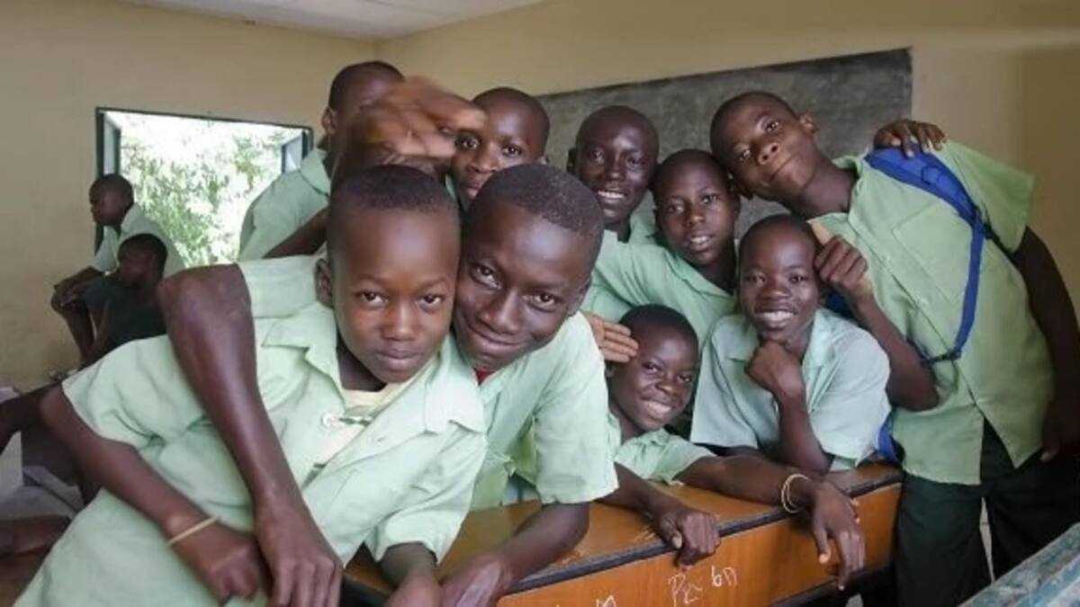 Nigerian educational system and the national goals - Legit.ng