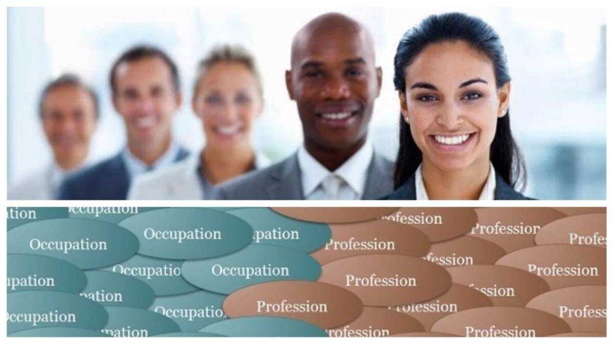 Difference between occupation and profession - Legit.ng