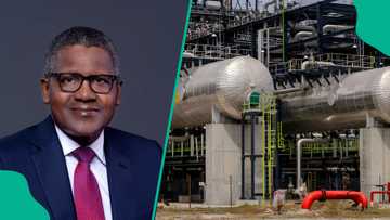 Dangote Refinery Clears Air, Reacts to Claims That Its Distribution Plan Will Create Job Loss ...