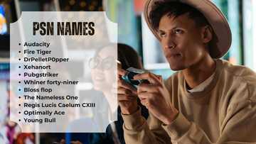 350+ funny PSN names to get a laugh out of your PlayStation friends ...