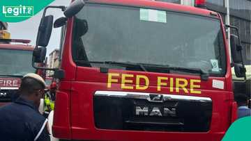 Apply Now: CDCFIB Announces New Employment Vacancies in Fire Service ...